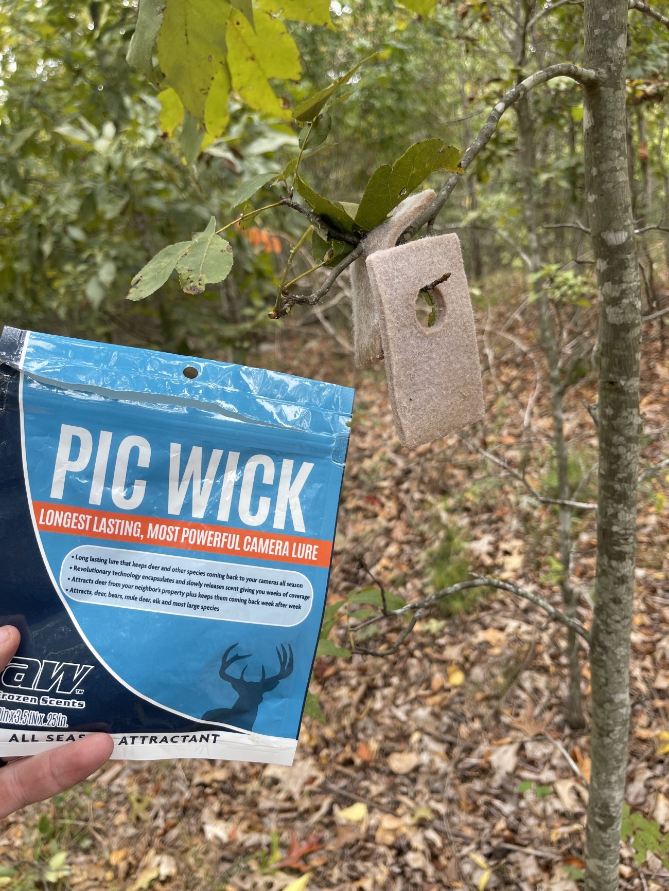 Early Season Deer Mock Scrapes | Mossy Oak